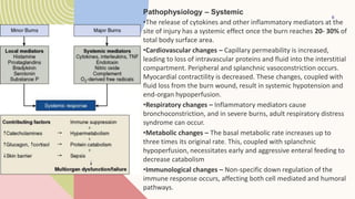 Principle and management of burn injury.pdf