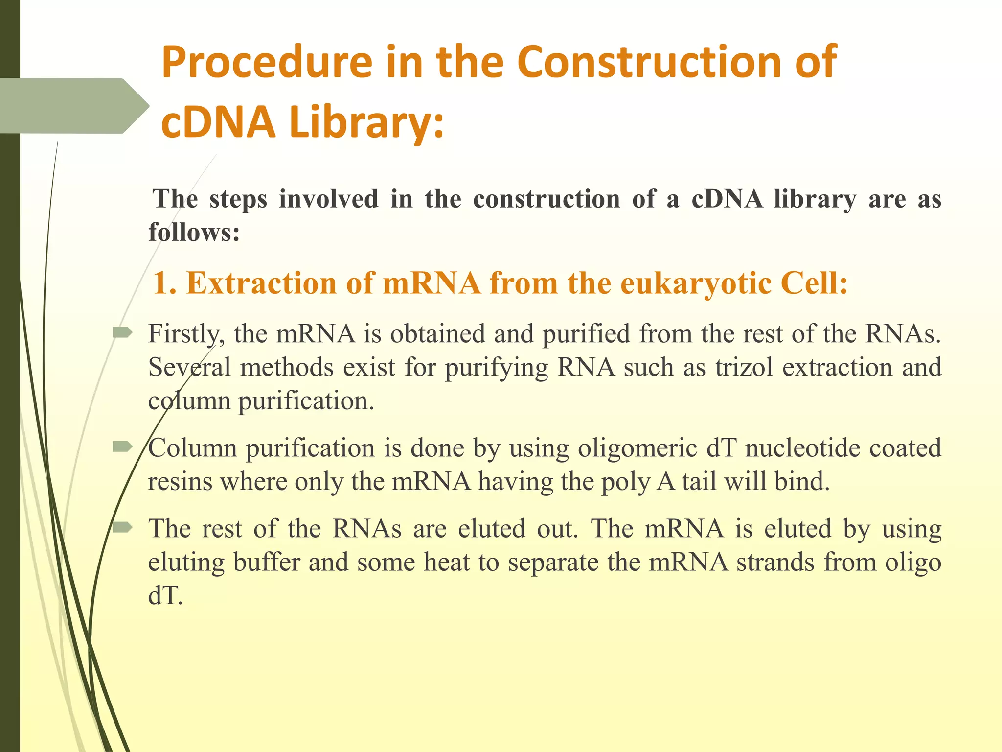 Principle and procedure for making Genomic library and cDNA library.pptx