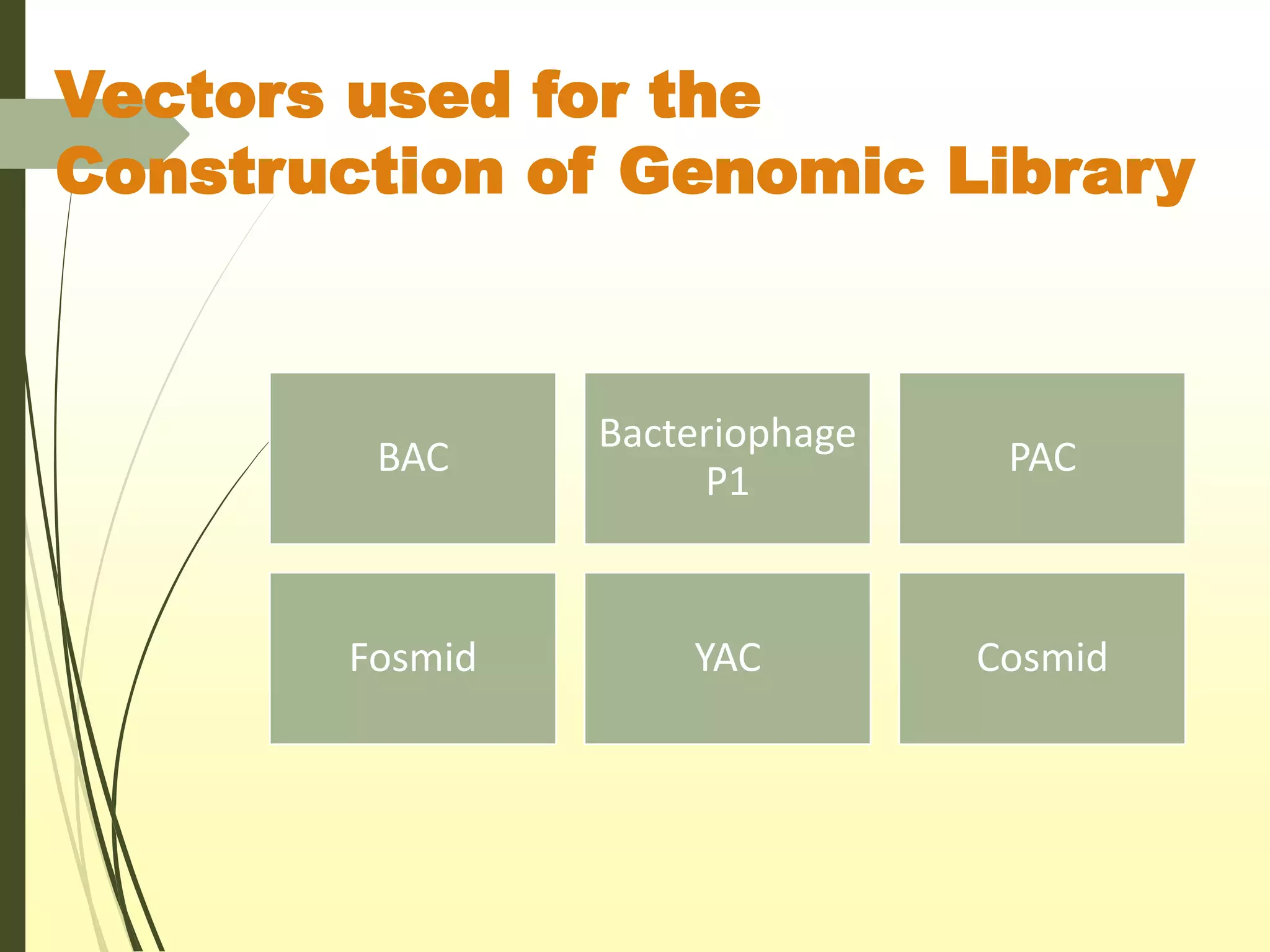 Principle and procedure for making Genomic library and cDNA library.pptx