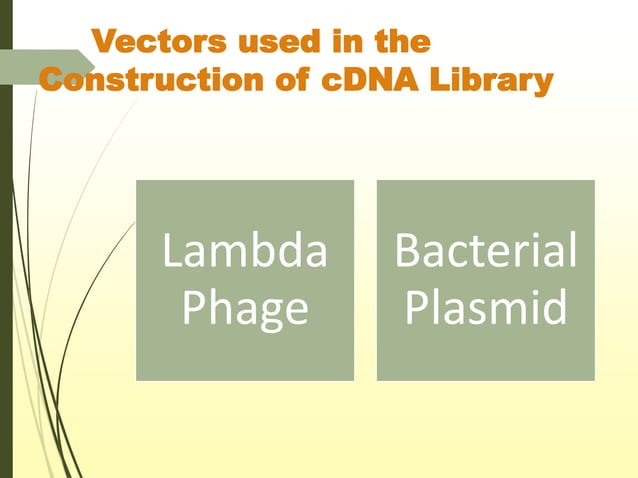 Principle and procedure for making Genomic library and cDNA library.pptx