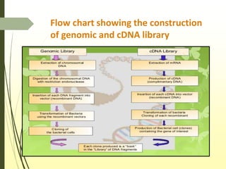 Principle and procedure for making Genomic library and cDNA library.pptx