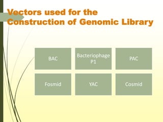 Principle and procedure for making Genomic library and cDNA library.pptx