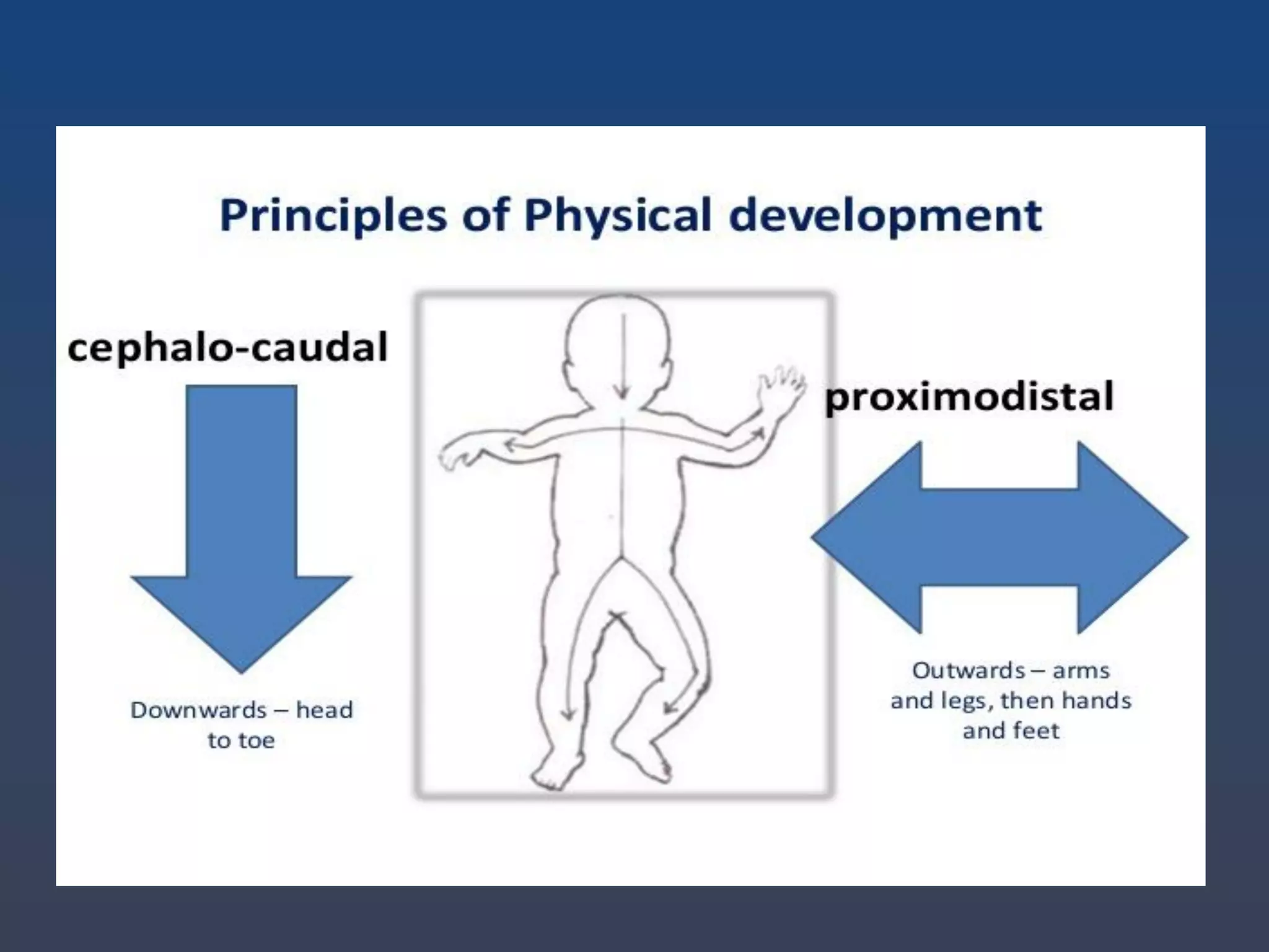 Principle and theories of craniofacial growth | PDF | Bone and Joint ...