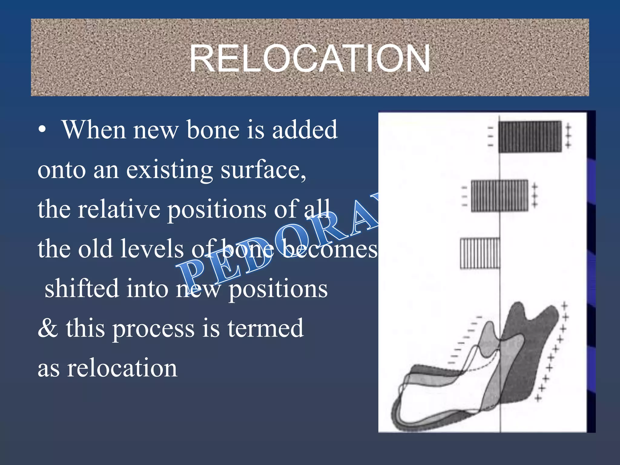Principle and theories of craniofacial growth | PDF