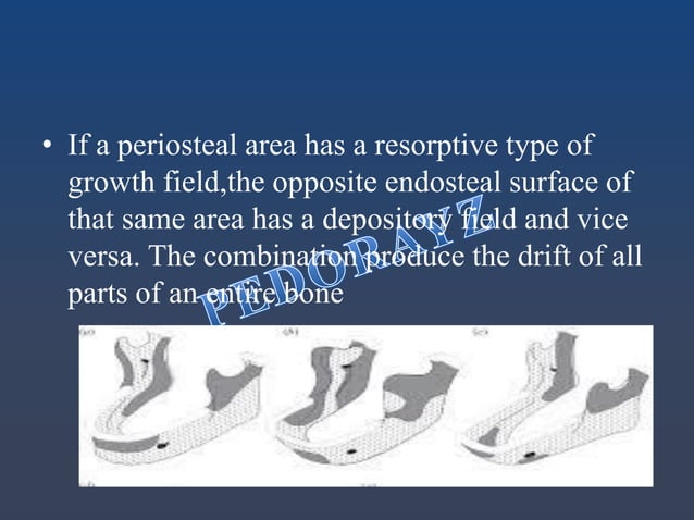 Principle and theories of craniofacial growth | PDF | Bone and Joint ...