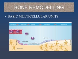 Principle and theories of craniofacial growth | PDF