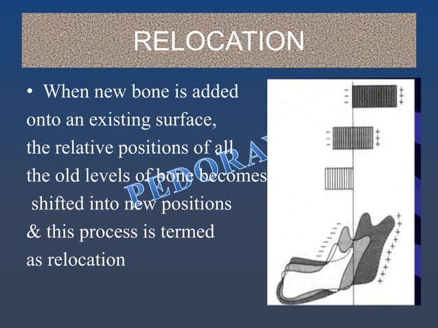Principle and theories of craniofacial growth | PDF | Bone and Joint ...