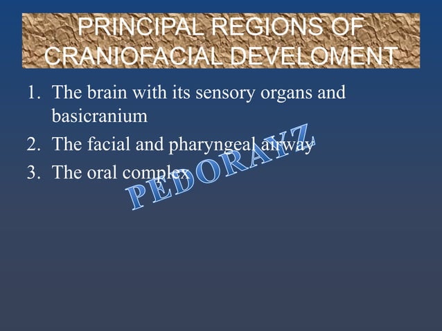 Principle and theories of craniofacial growth | PDF | Bone and Joint ...