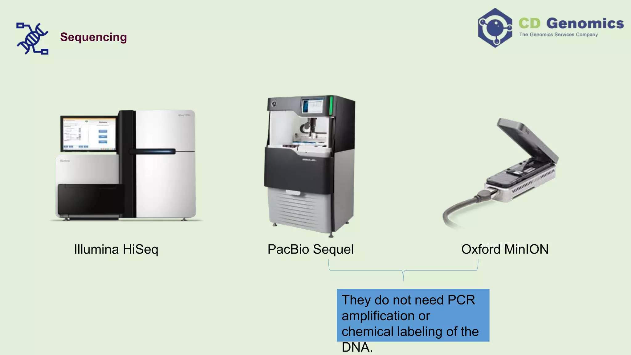 Principle and workflow of whole genome bisulfite sequencing | PPTX