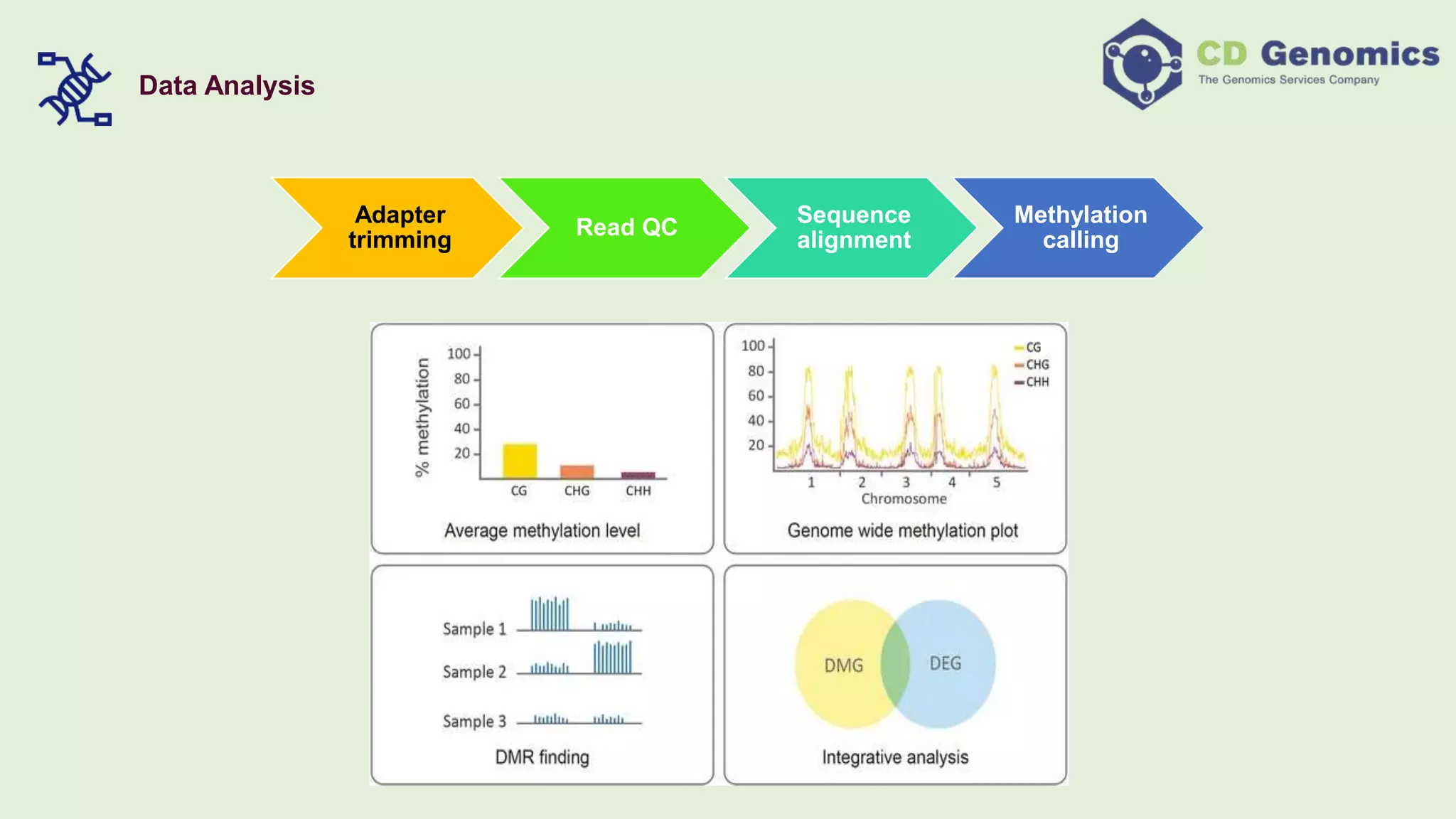 Principle and workflow of whole genome bisulfite sequencing | PPTX