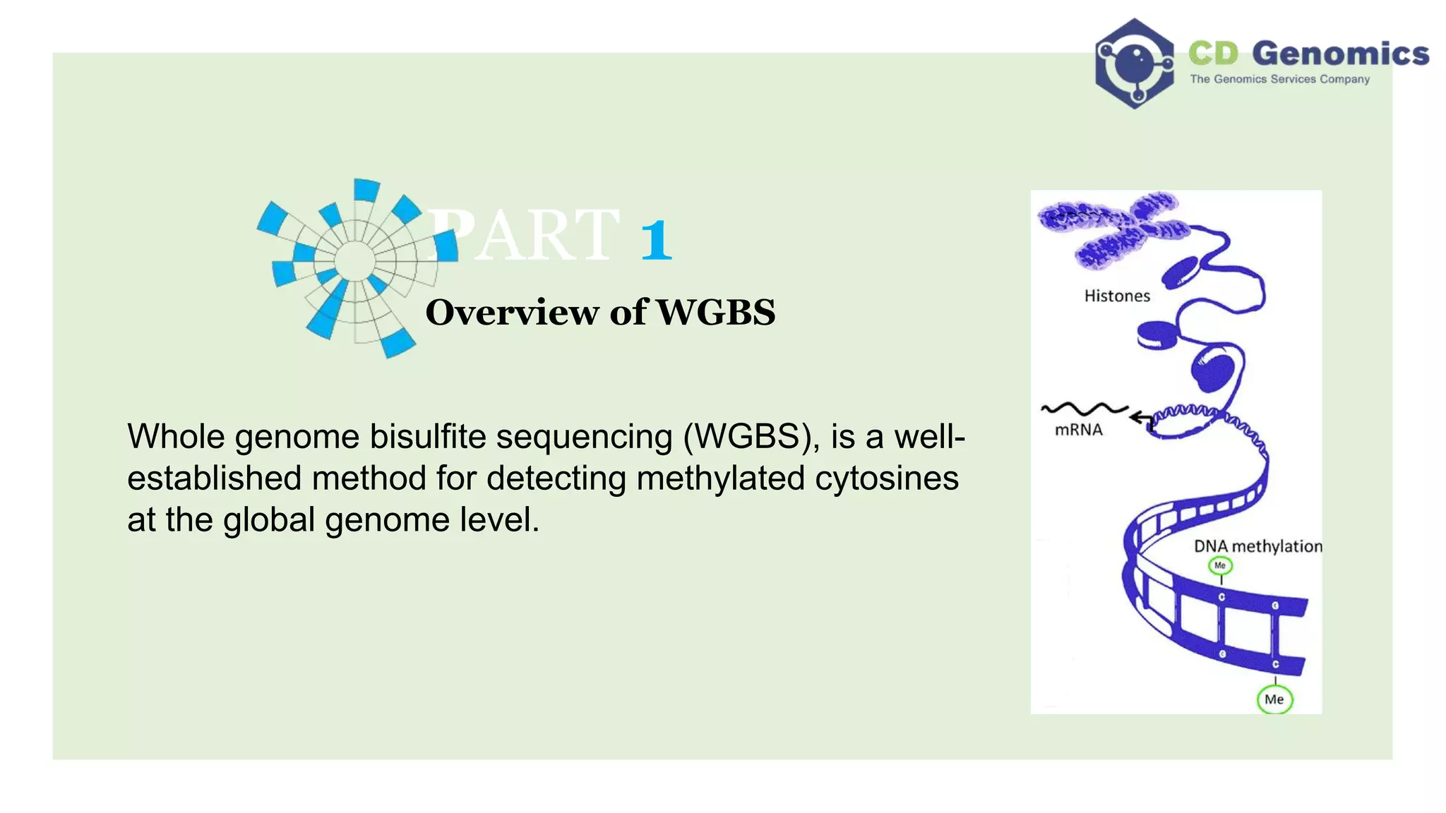 Principle and workflow of whole genome bisulfite sequencing | PPTX