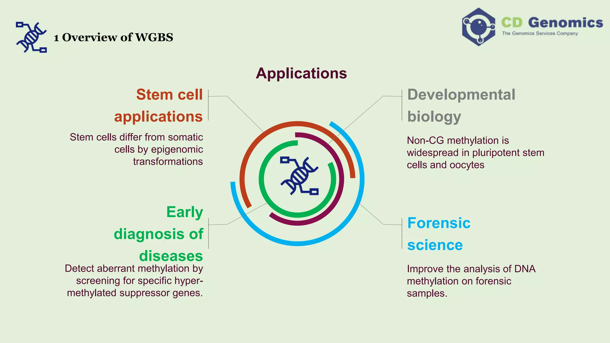 Principle and workflow of whole genome bisulfite sequencing | PPTX