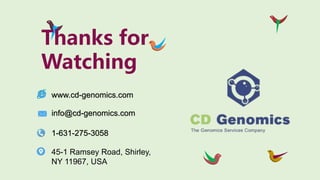 Principle and workflow of whole genome bisulfite sequencing | PPTX