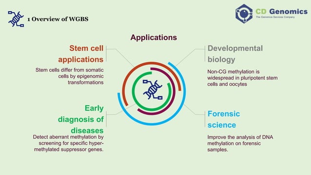Principle and workflow of whole genome bisulfite sequencing | PPTX ...