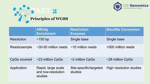 Principle And Workflow Of Whole Genome Bisulfite Sequencing Pptx Chemistry Science