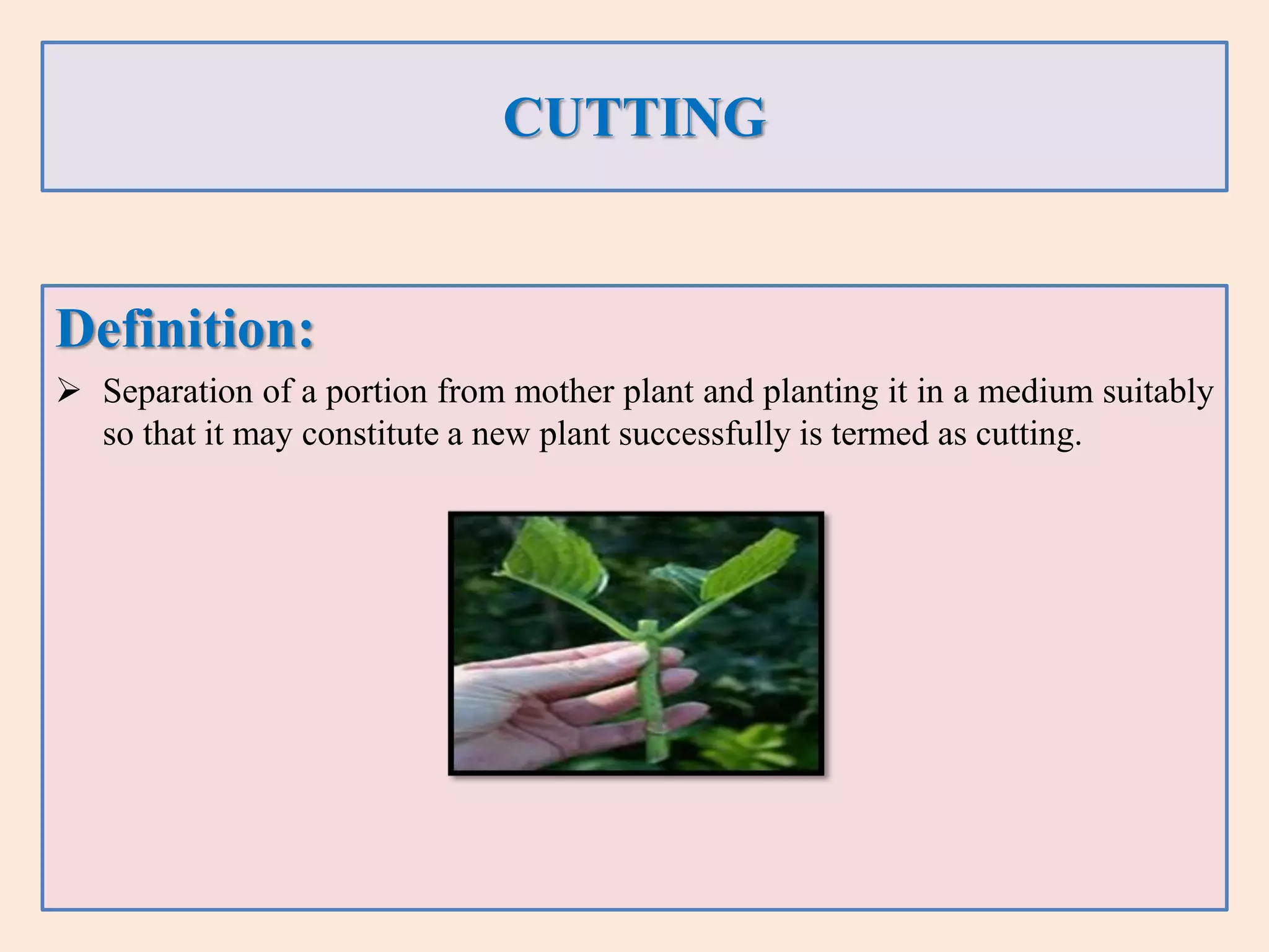 Principle & different method of cutting & layering] | PPTX