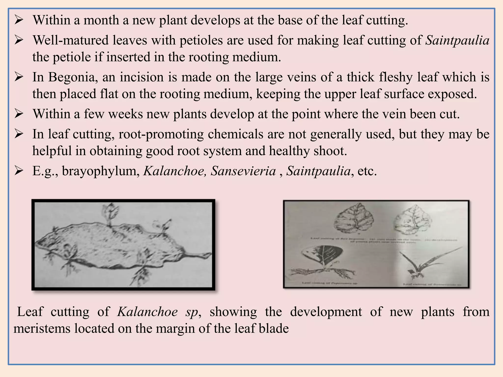 Principle & different method of cutting & layering] | PPTX