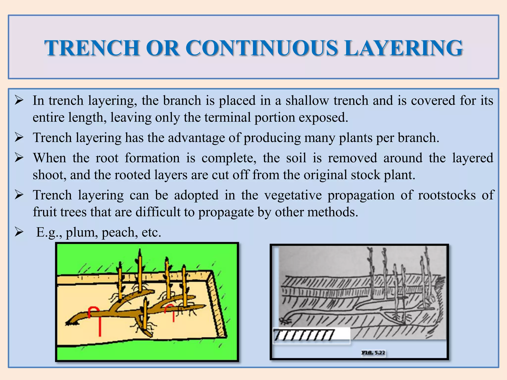 Principle & different method of cutting & layering] | PPTX