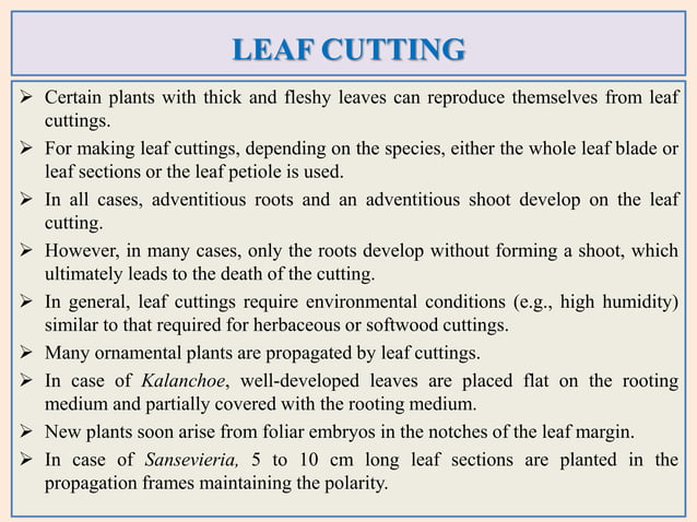 Principle & different method of cutting & layering] | PPTX