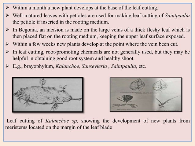 Principle & different method of cutting & layering] | PPTX