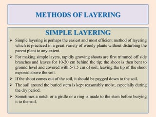 Principle & different method of cutting & layering] | PPTX