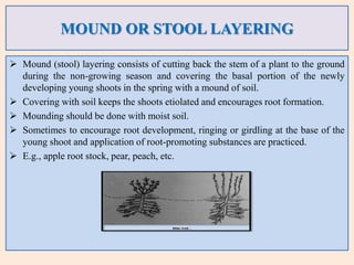 Principle & different method of cutting & layering] | PPTX