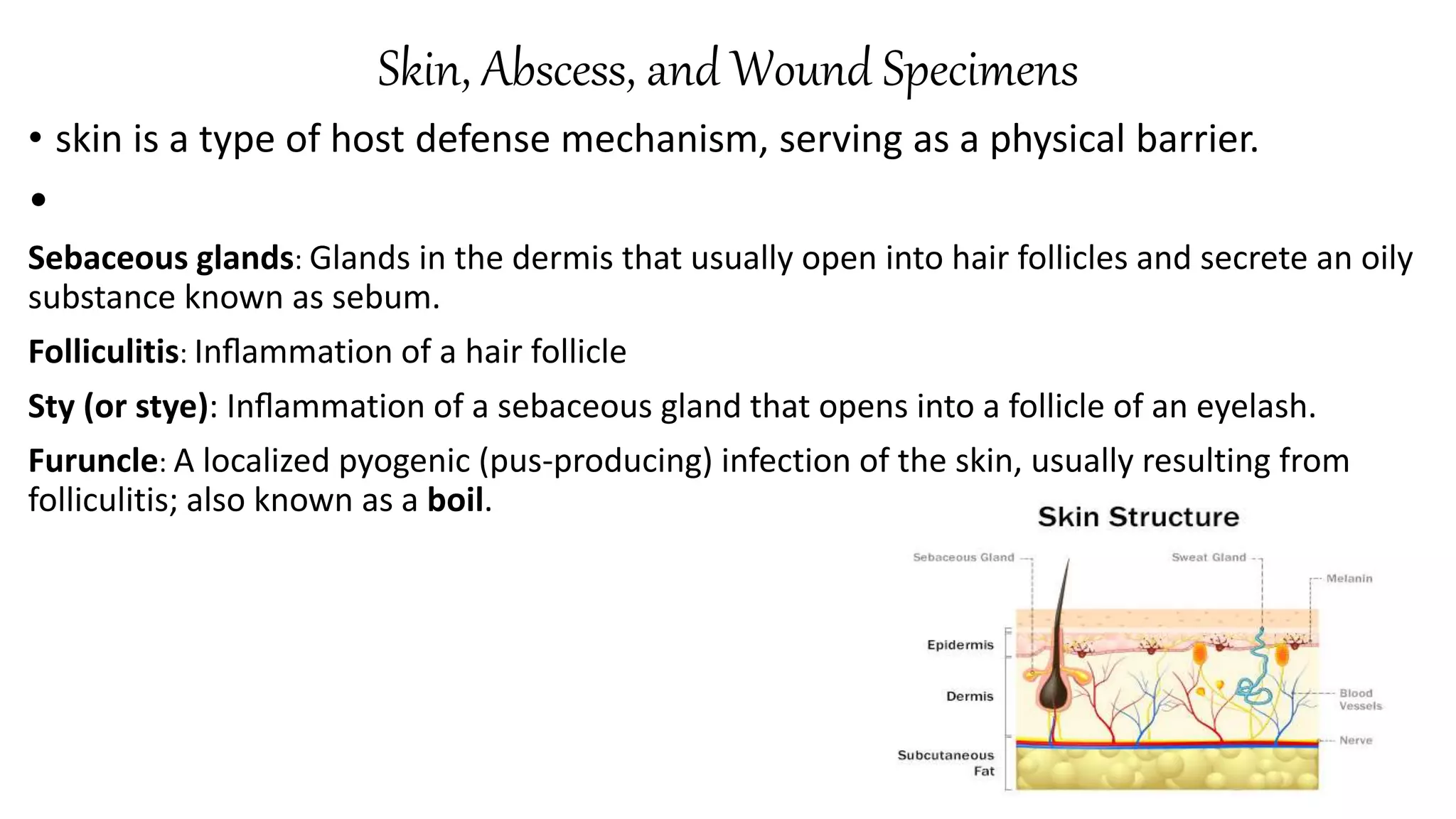 Principle laboratory diagnosis of infectious diseases | PPTX