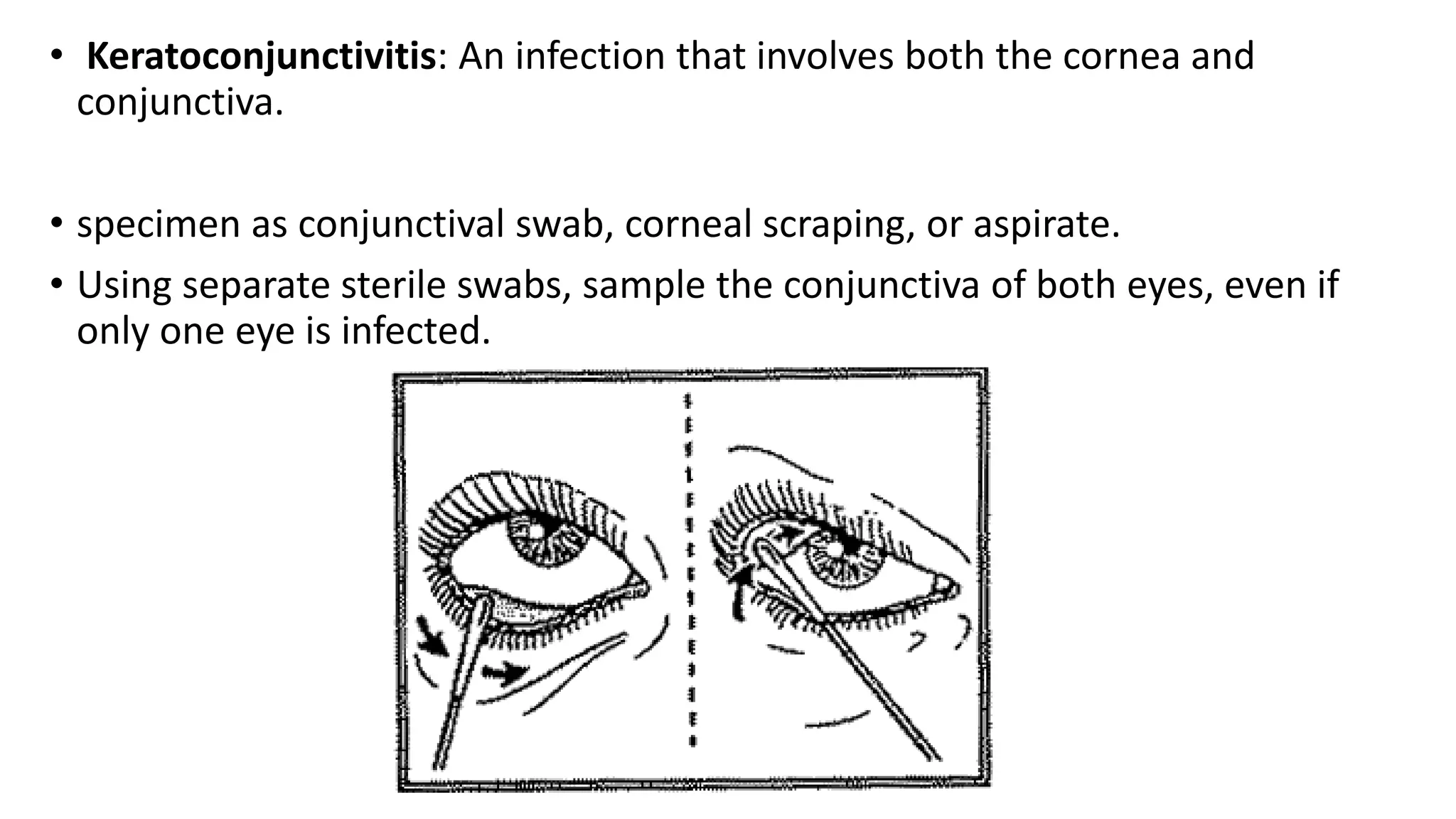 Principle laboratory diagnosis of infectious diseases | PPTX