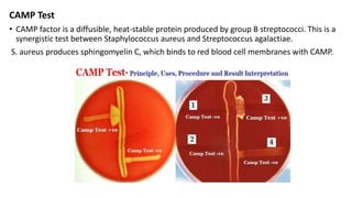 Principle laboratory diagnosis of infectious diseases | PPTX