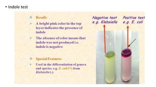 Principle laboratory diagnosis of infectious diseases | PPTX