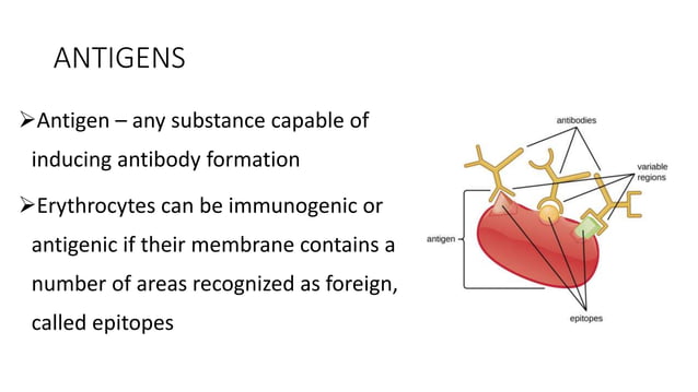 PRINCIPLE OF ANTIGENS AND ANTIBODIES.pptx