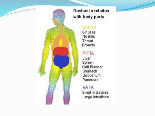 Principle of ayurveda | PPT