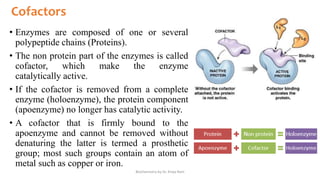 Principle of biochemistry and fundamental of enzymology | PPTX