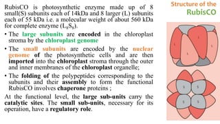 Principle of bioenergetics & photobiology and photosynthesis | PPTX