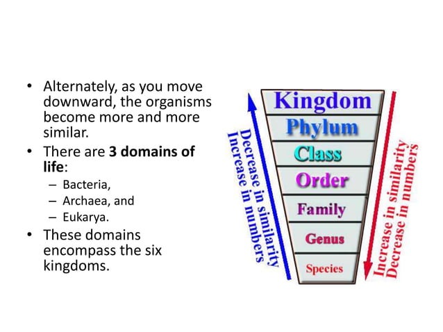 Principle of classification of living things | PPTX | Biological ...