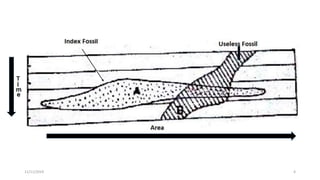 Principle of correlation and fossils | PPTX