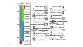 Principle of correlation and fossils | PPTX