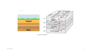 Principle of correlation and fossils | PPTX