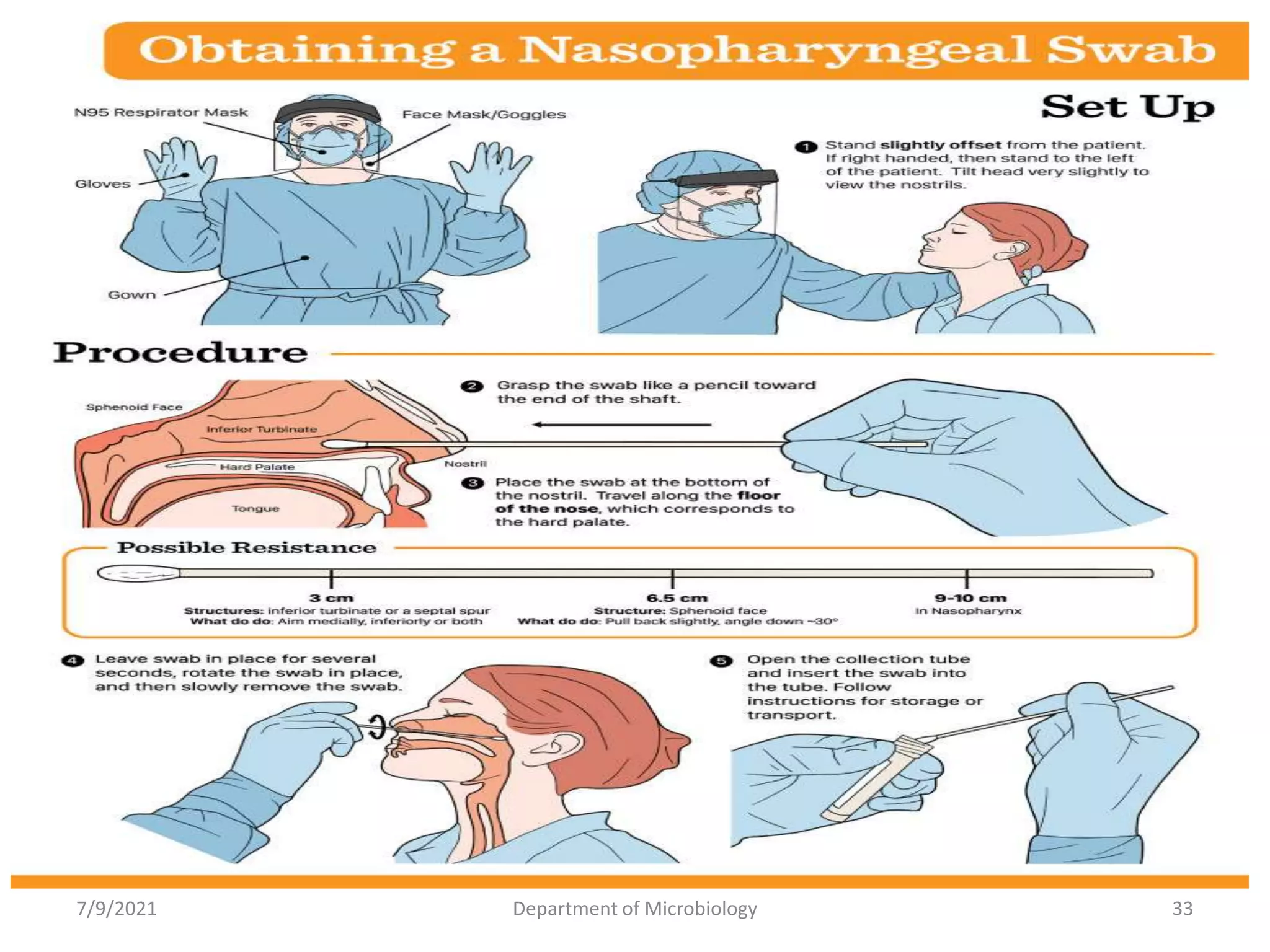 Principle of diagnostic methods collection storage and transport of ...