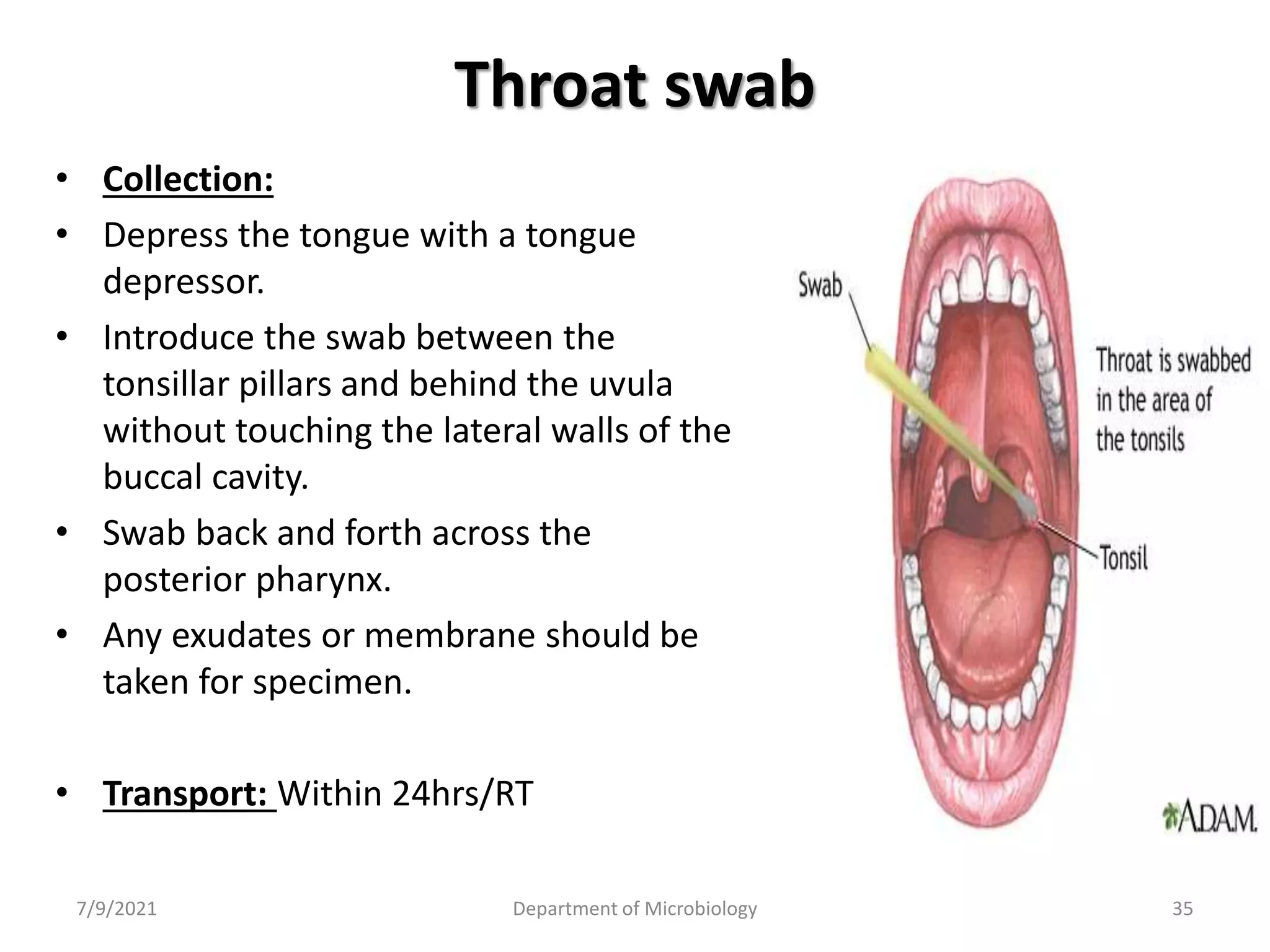 Principle of diagnostic methods collection storage and transport of ...