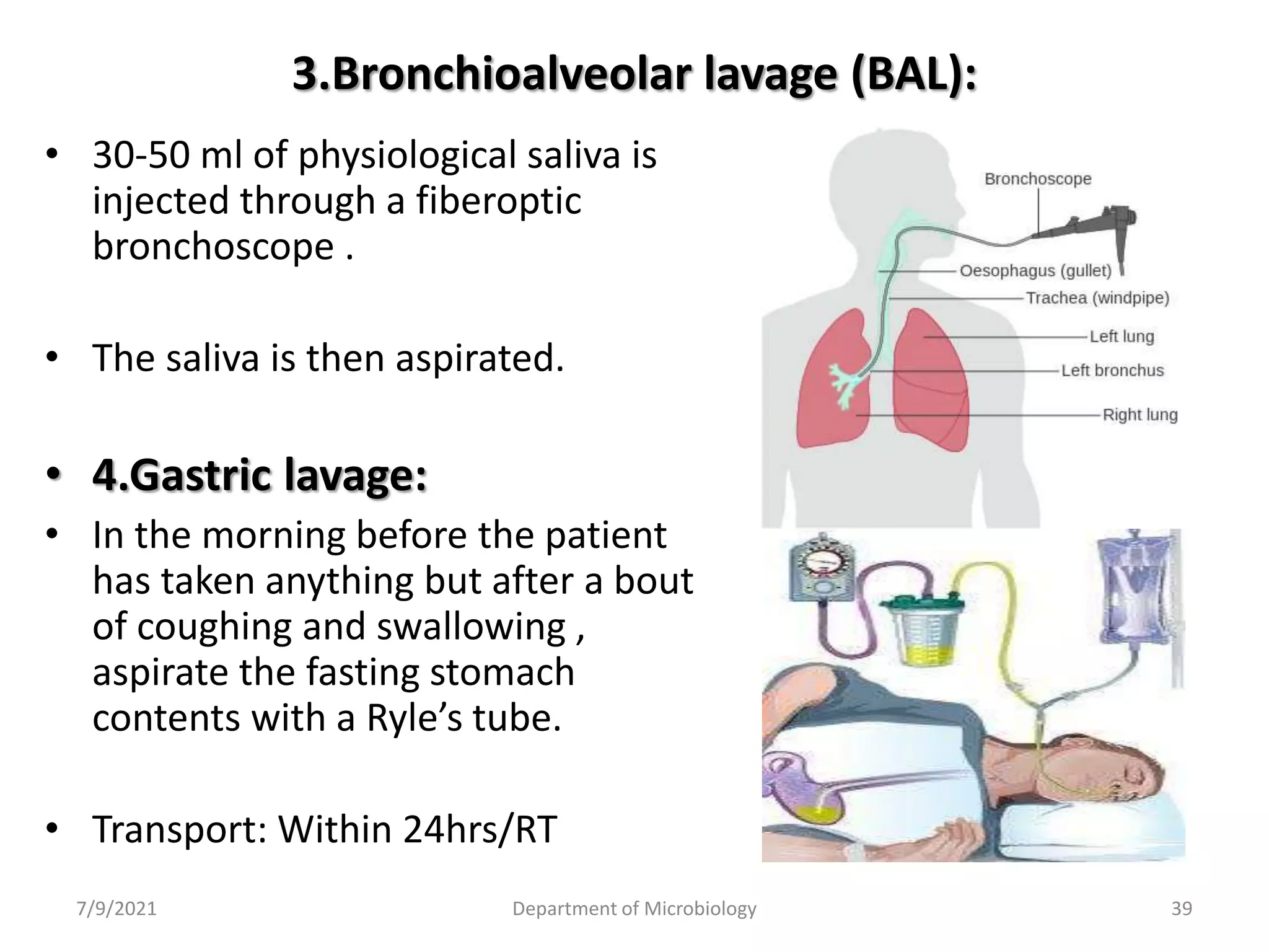 Principle of diagnostic methods collection storage and transport of ...