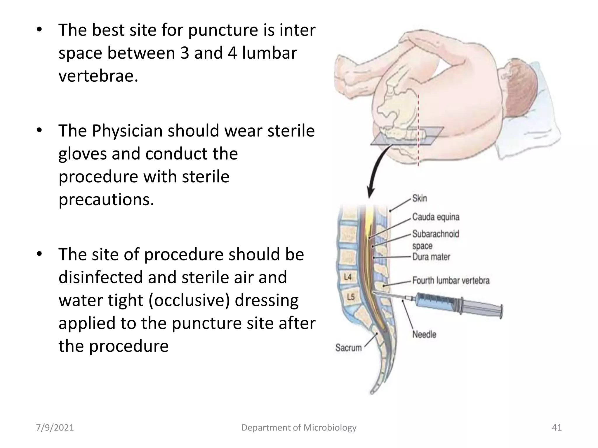 Principle of diagnostic methods collection storage and transport of ...
