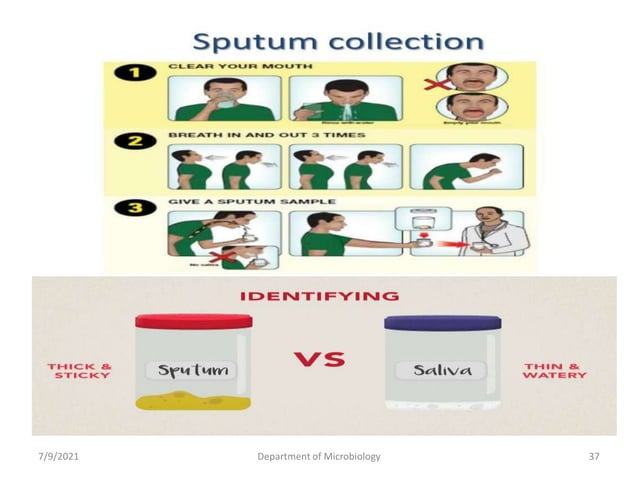 Principle of diagnostic methods collection storage and transport of ...