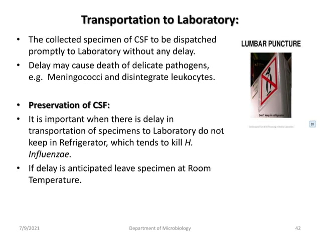 Principle of diagnostic methods collection storage and transport of ...