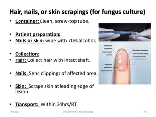 Principle of diagnostic methods collection storage and transport of ...