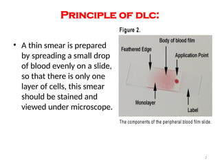 Principle of dlc.pptx leukocytes differential | PPT