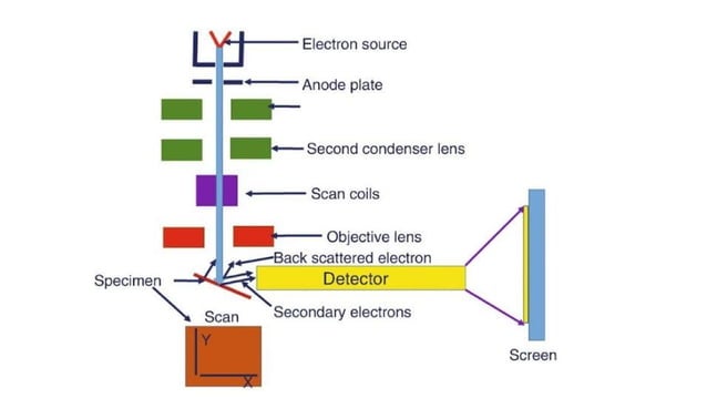 Principle of Electron Microscopy-12.pptx
