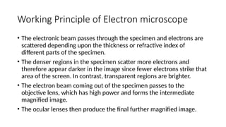 Principle of Electron Microscopy-12.pptx