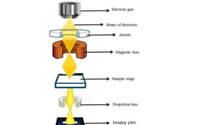 Principle of Electron Microscopy-12.pptx