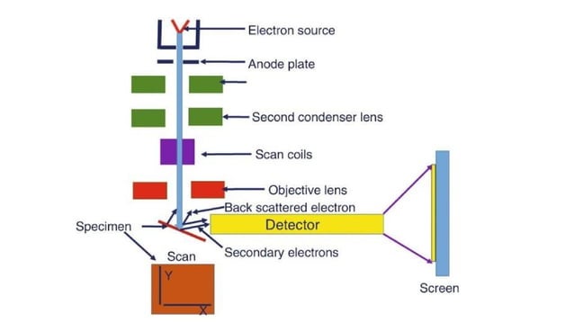 Principle of Electron Microscopy-12.pptx